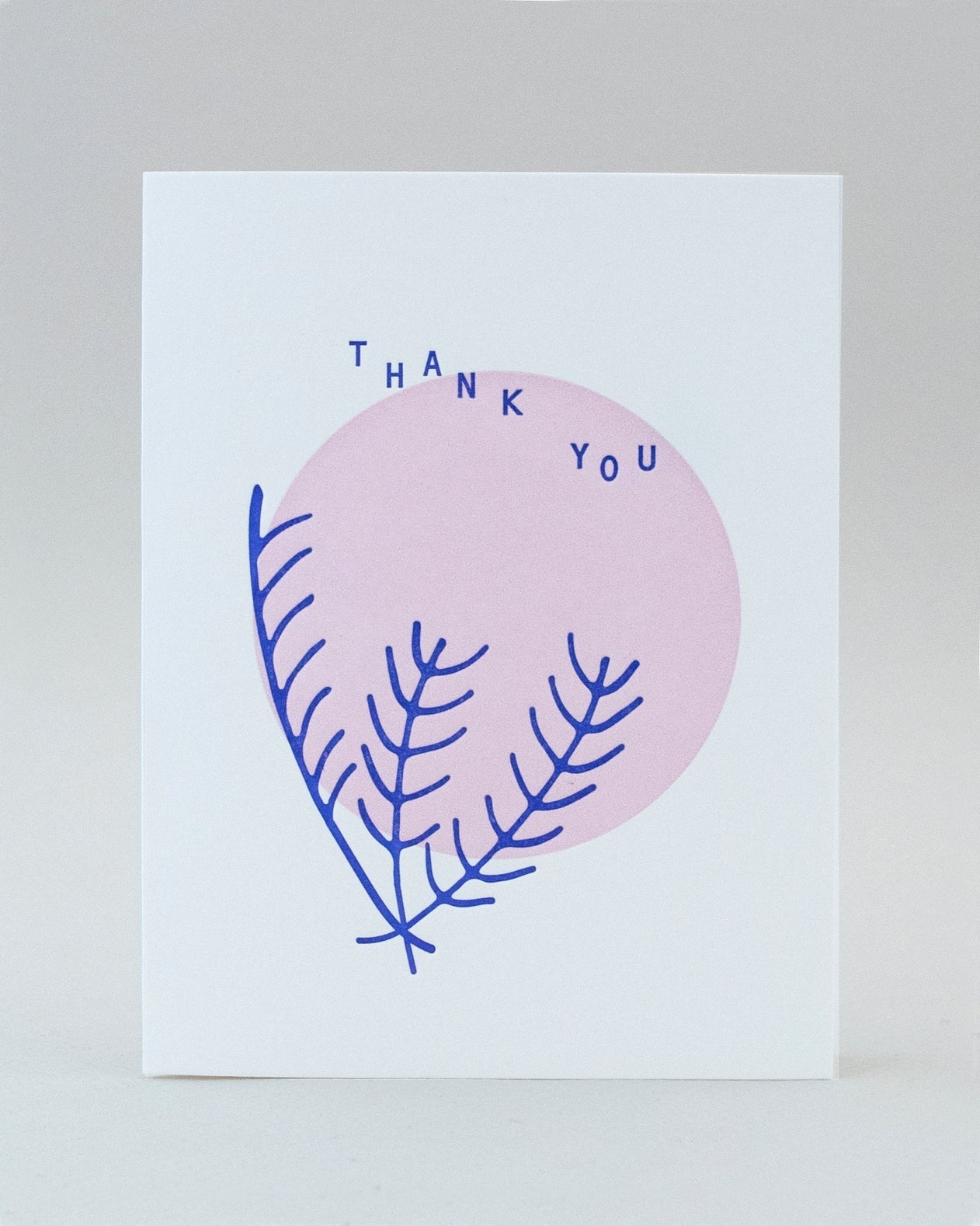 Blue Pine Ty Card | W. Collective